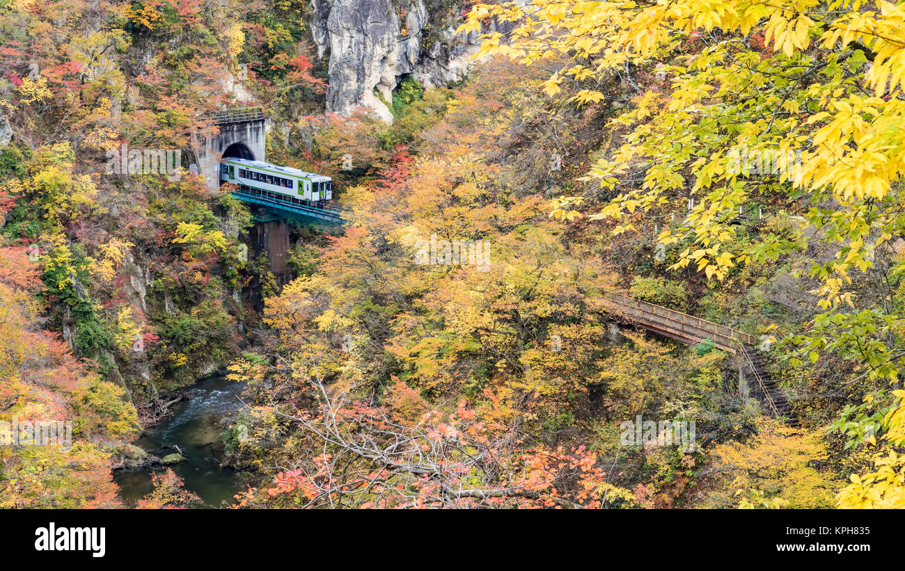 The Naruko Gorge Autumn leaves in the fall season, Japan Stock Photo ...