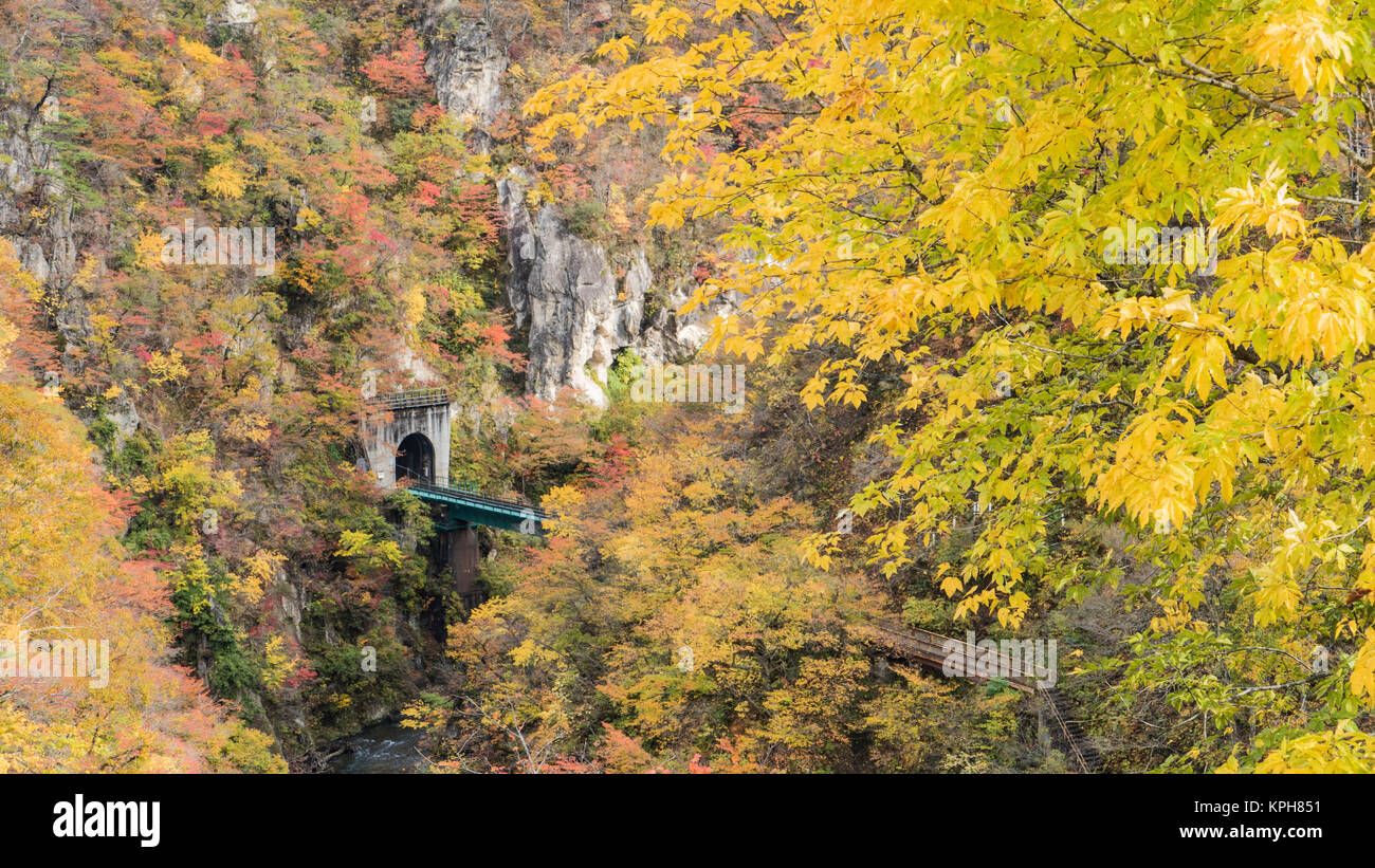The Naruko Gorge Autumn leaves in the fall season, Japan Stock Photo ...