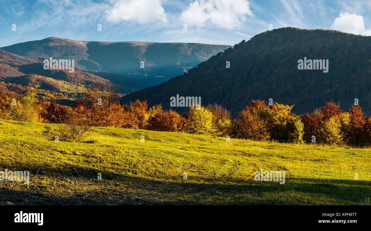 grassy meadow on hillside in autumn. beautiful mountainous landscape on ...