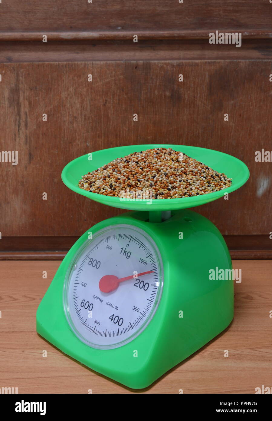 bird food on green weighing scale tray Stock Photo - Alamy