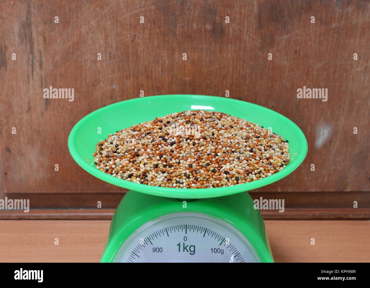 bird food on green weighing scale tray Stock Photo - Alamy