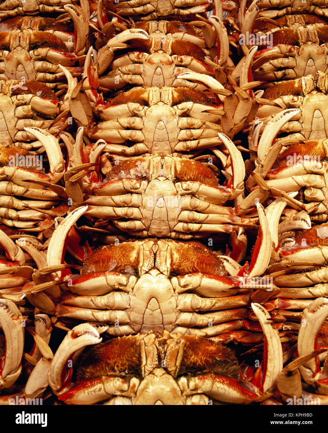 Crabs on display, close-up (Large format sizes available Stock Photo ...