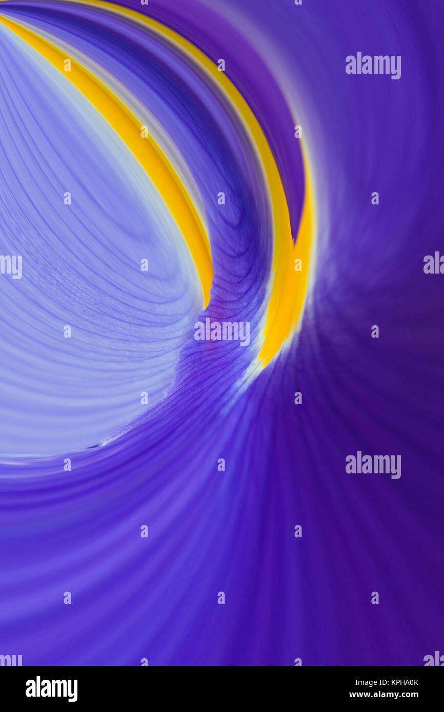 Iris pattern hi-res stock photography and images - Alamy