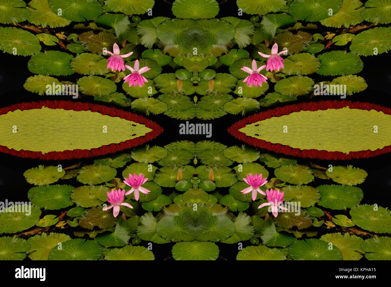 Digital pad hi-res stock photography and images - Alamy