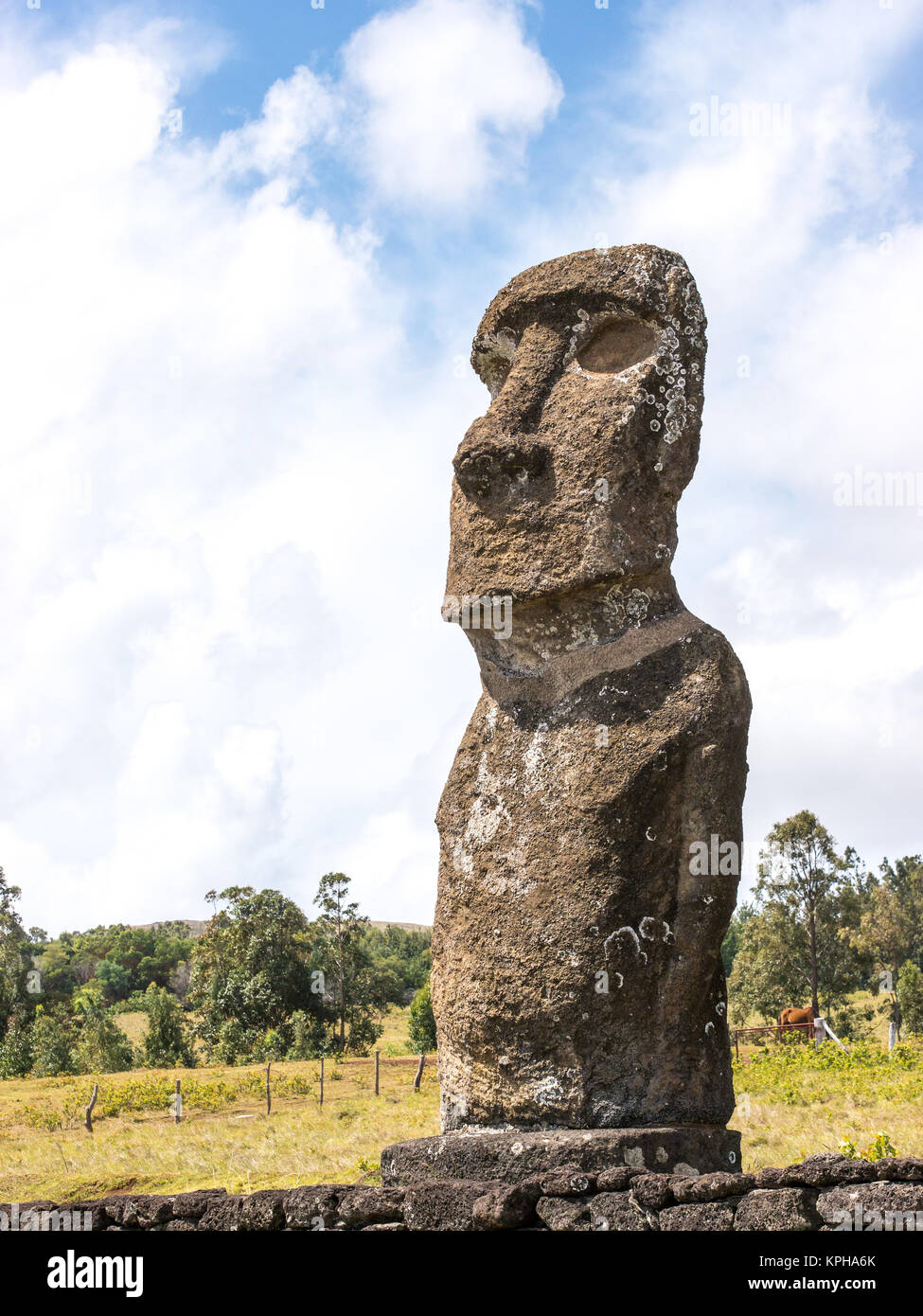 Single Moai of the Ahu Akivi Stock Photo - Alamy