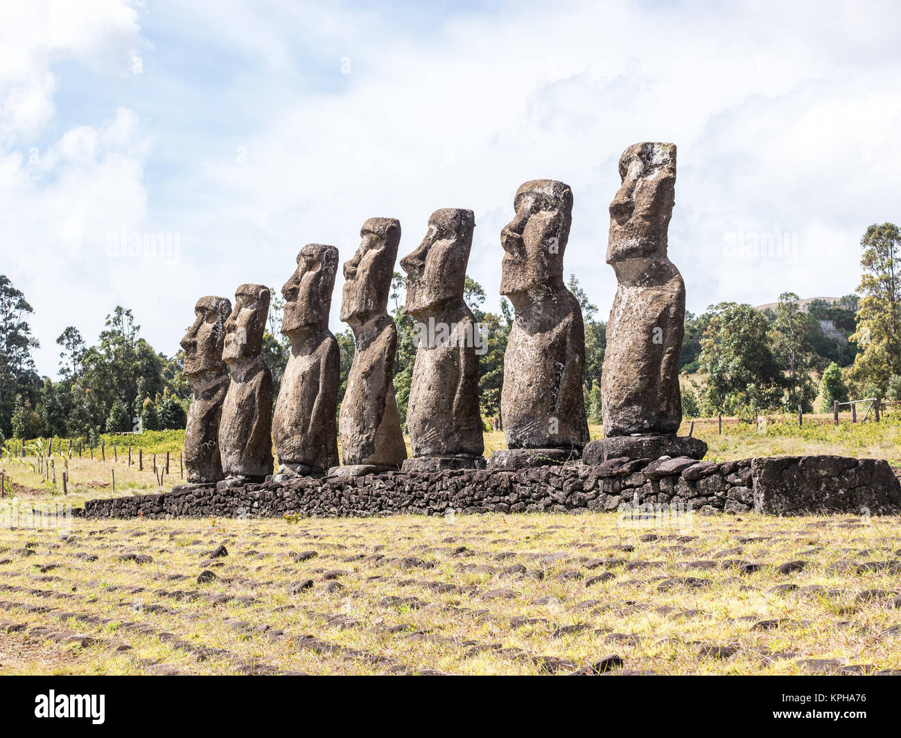 View of the seven moais of Ahu Akivi Stock Photo - Alamy