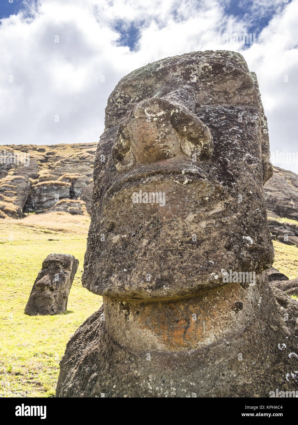 A big moai head in the Easter Island quarry, Chile Stock Photo - Alamy