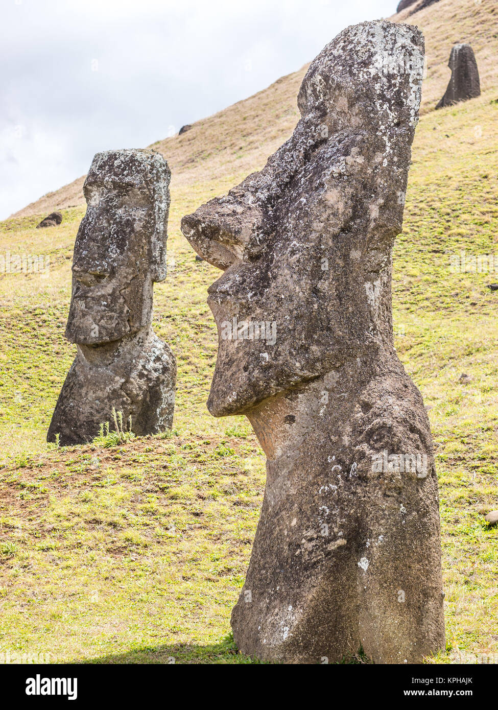 Stone faces in the quarry of Easter Island, Chile Stock Photo - Alamy