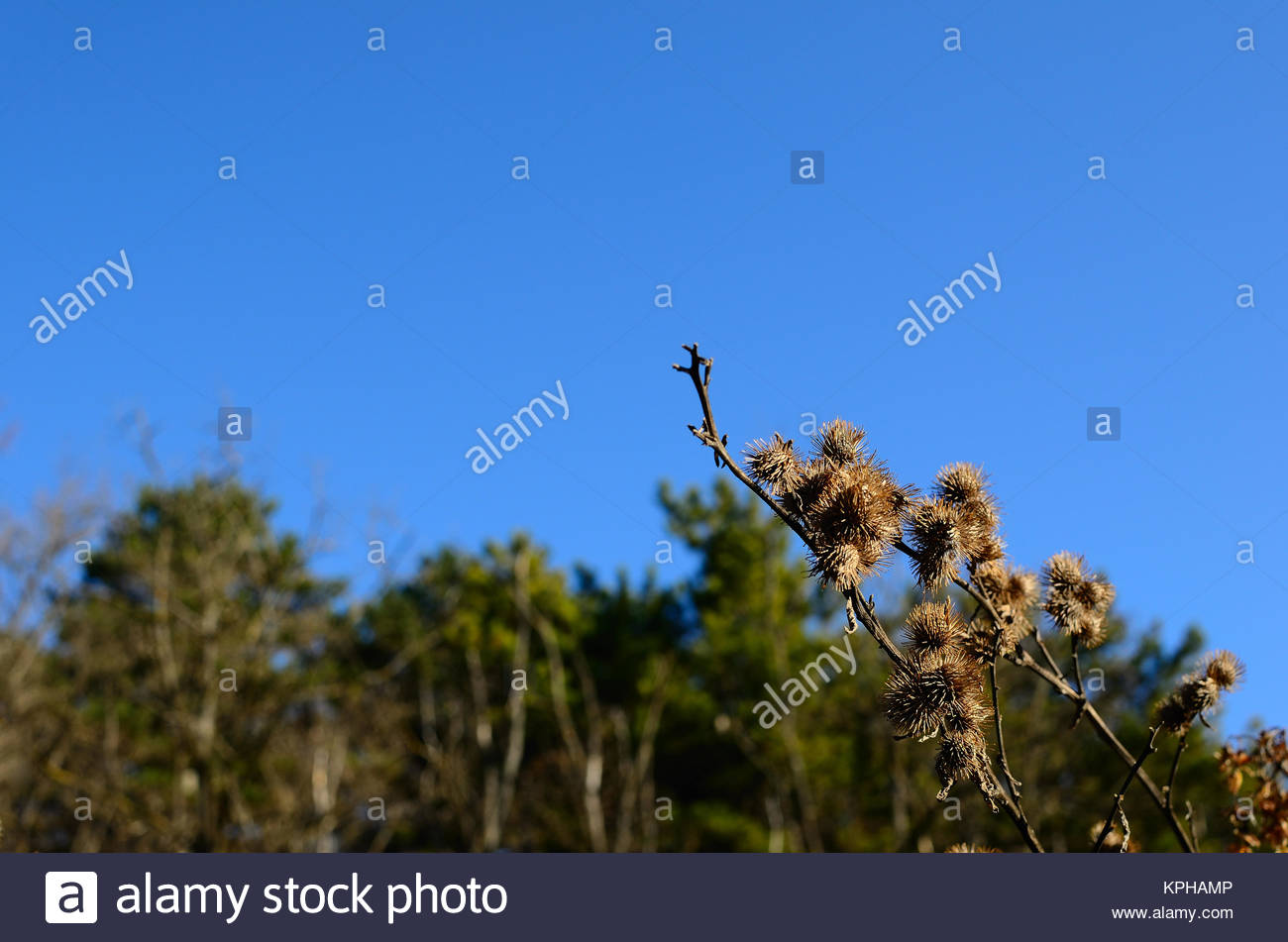 Kletten Stock Photos & Kletten Stock Images - Alamy