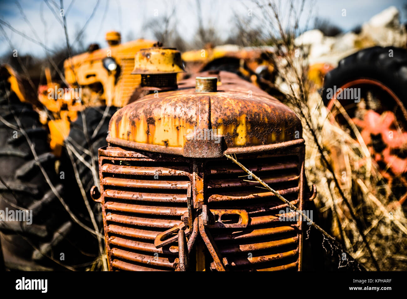 Old yeller hi-res stock photography and images - Alamy