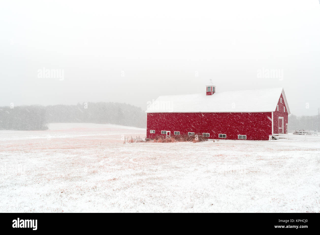 First snow storm hi-res stock photography and images - Alamy