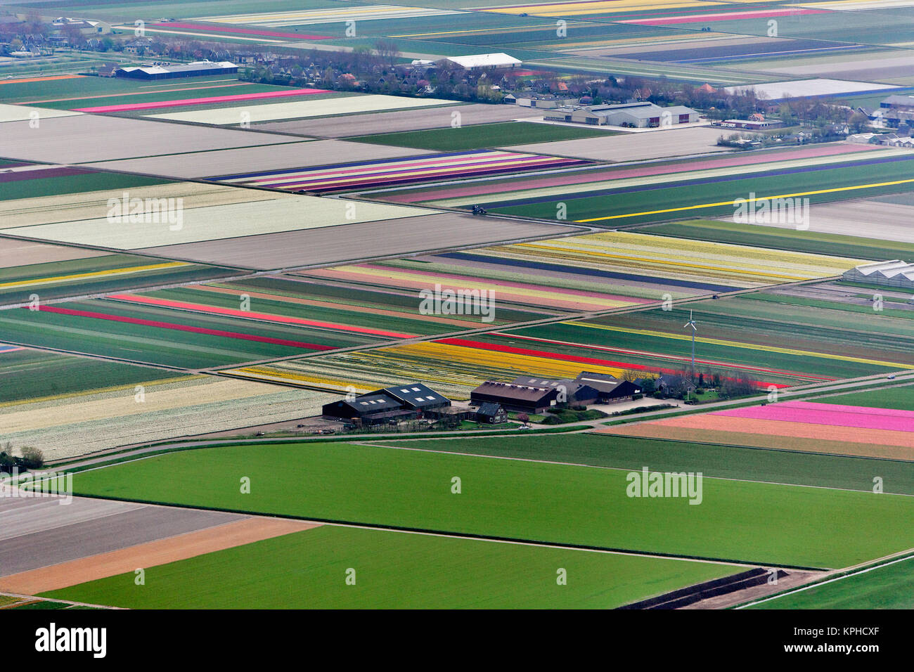 Aerial view of flower field patterns surrounding Amsterdam, Holland ...