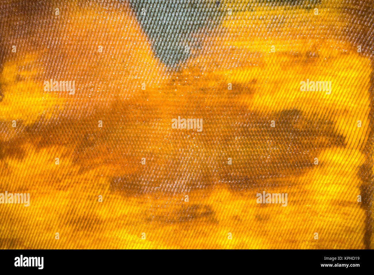 Pattern and texture of dry rubber sheet Stock Photo - Alamy