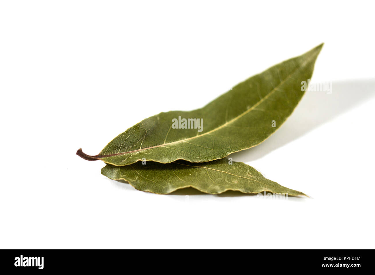 Bay leaf isolated on white Stock Photo - Alamy