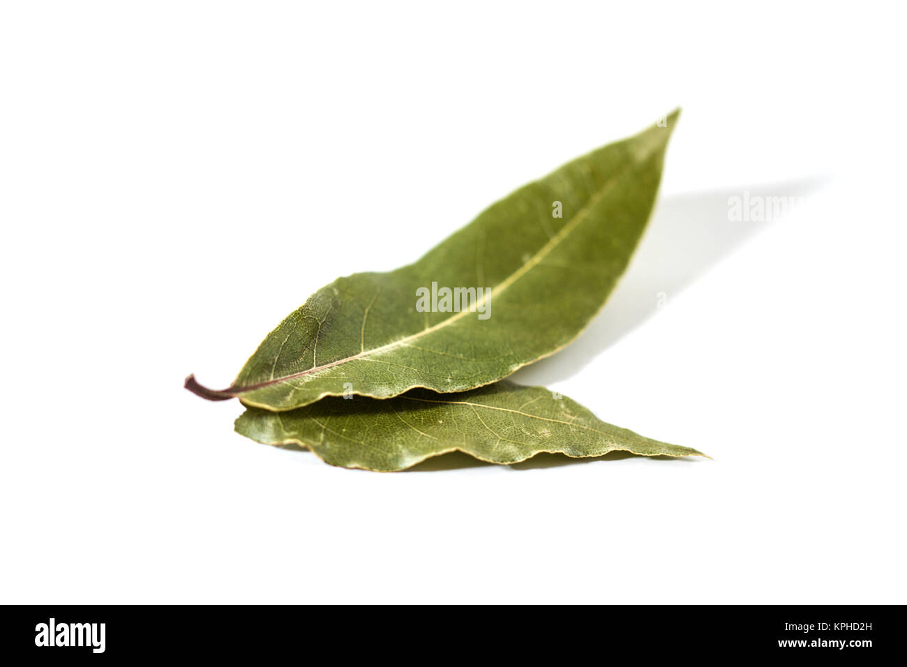 Bay leaf isolated on white Stock Photo - Alamy