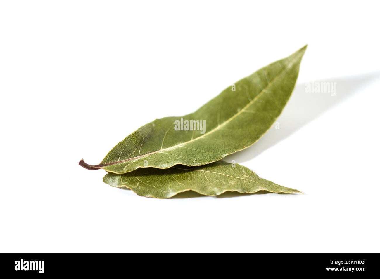 Bay leaf isolated on white Stock Photo - Alamy