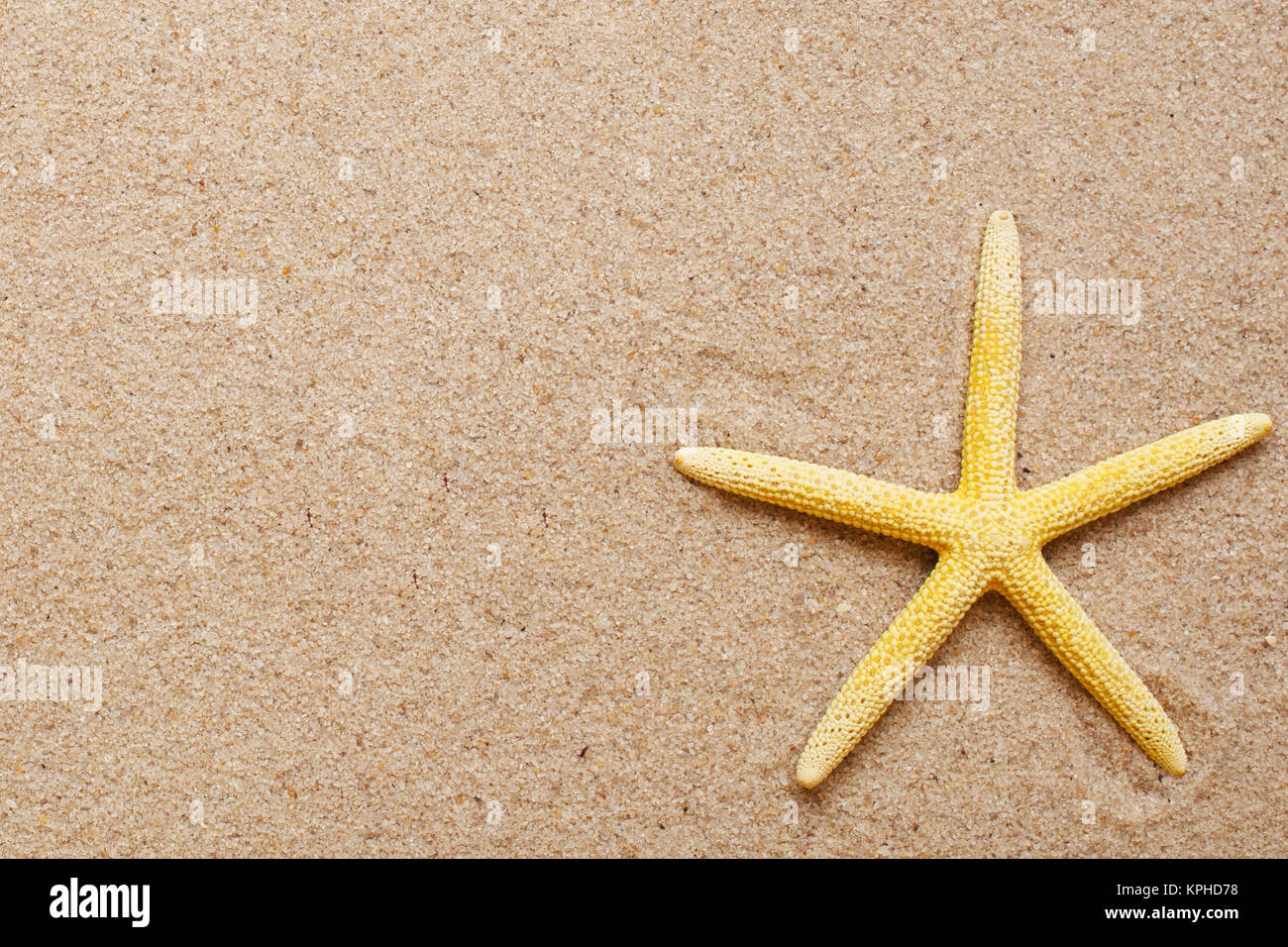 Sea shells on sand.red and yellow Shell Starfish Stock Photo - Alamy