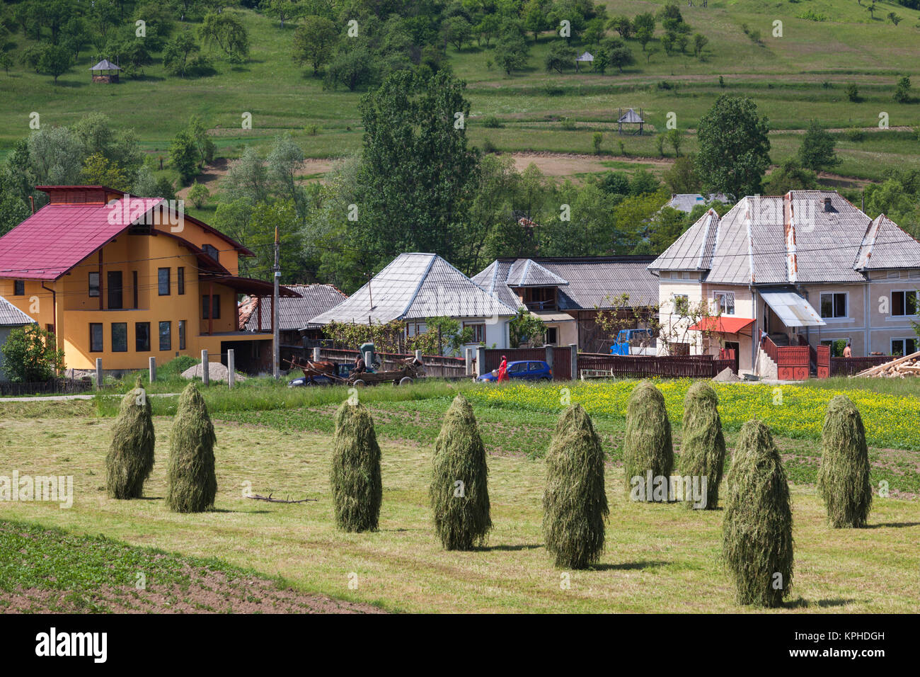 Romania, Maramures Region, Rona de Jos, village view with haystacks ...