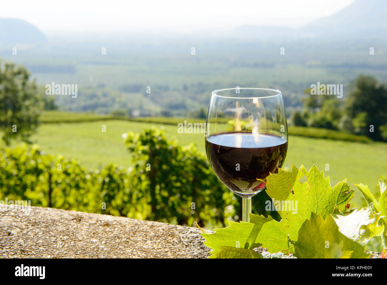 The bright sun shines towards an hi-res stock photography and images ...