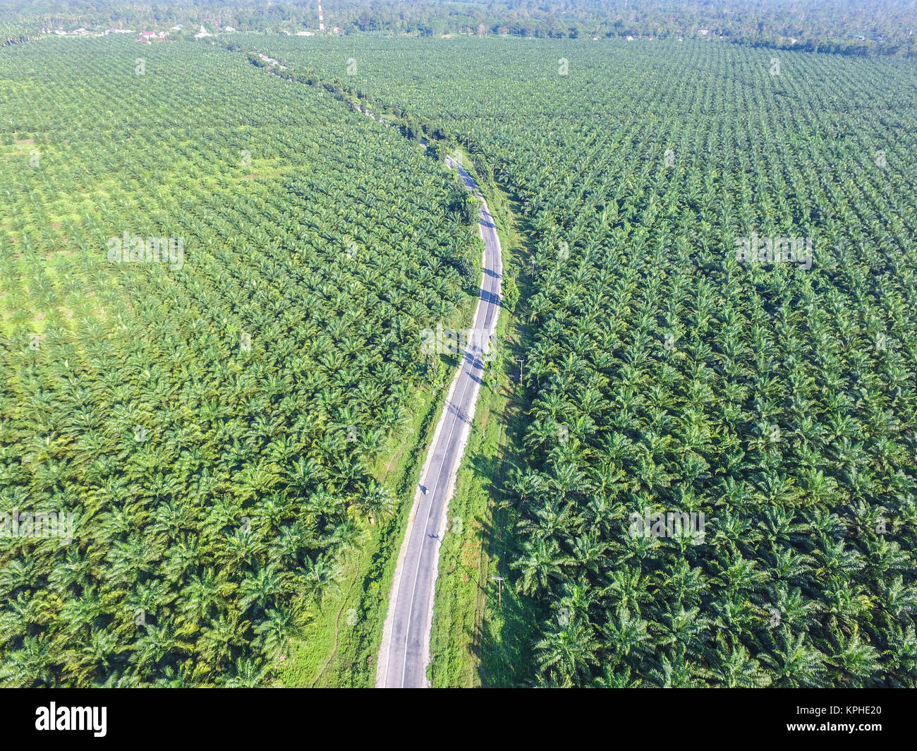 Luwu timur hi-res stock photography and images - Alamy