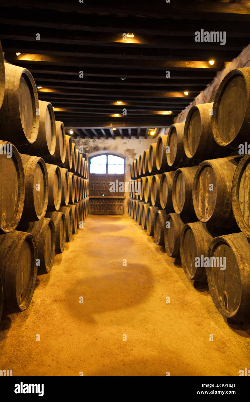 Spain, Andalucia Region, Cadiz Province, Sherry Triangle Area, Jerez de ...