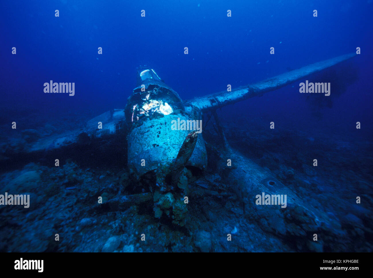 Micronesia, Palau, World Heritage Site. WWII Japanese Jake Seaplane ...