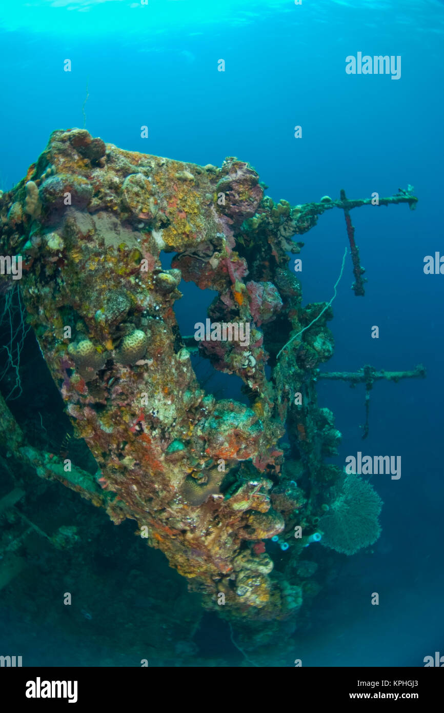 Japanese Teshio Maru Standard 1 V Freighter Wreck from WWII, Palau ...