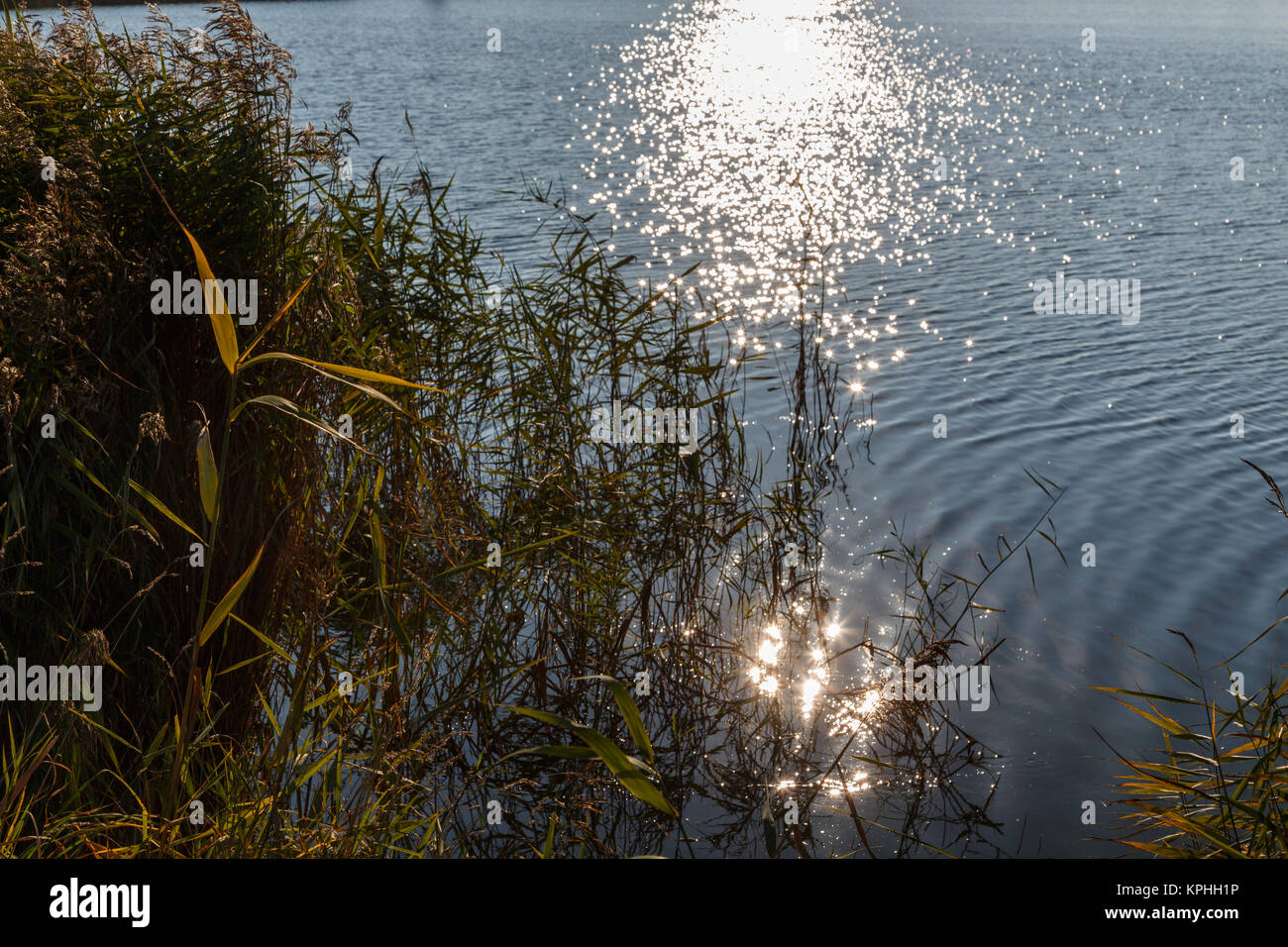 Light spirits in the lake Stock Photo - Alamy