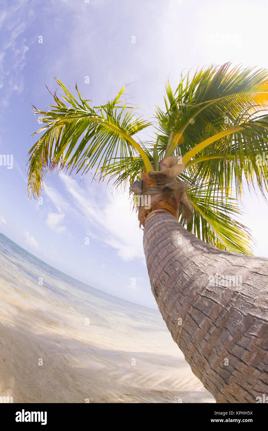 Turneffe Caye, Belize Stock Photo - Alamy