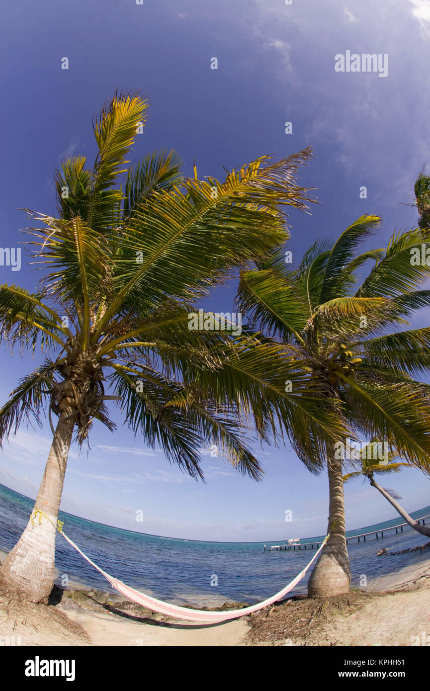 Turneffe atoll beach hi-res stock photography and images - Alamy