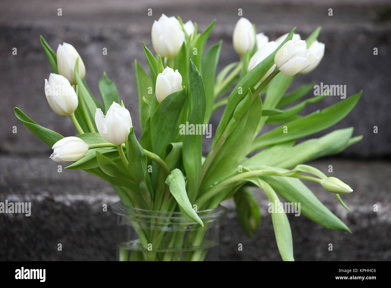 a bouquet of tulips on a stone staircase Stock Photo - Alamy
