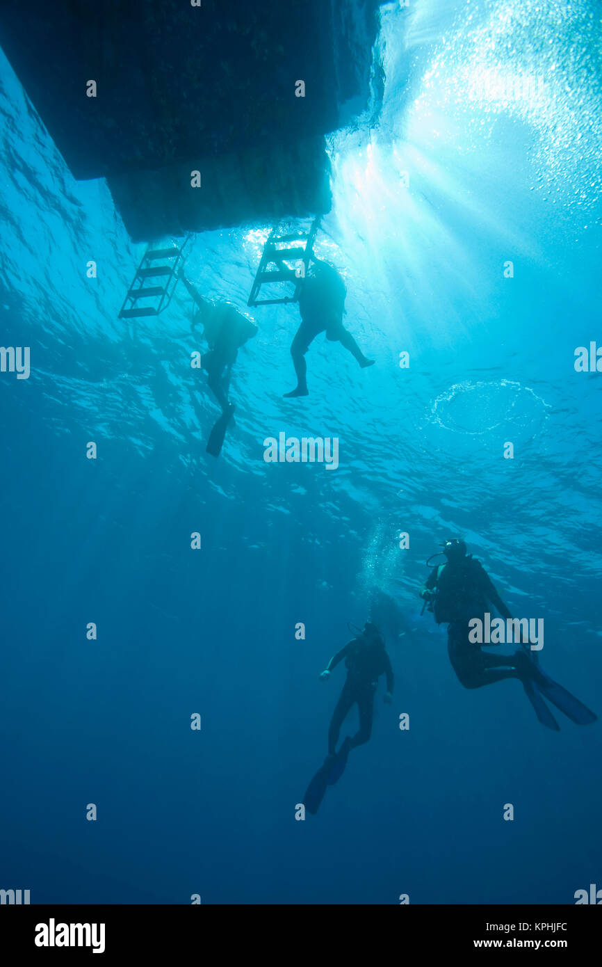 Caribbean Scuba Diving, Roatan, Bay Islands, Honduras, Central America ...