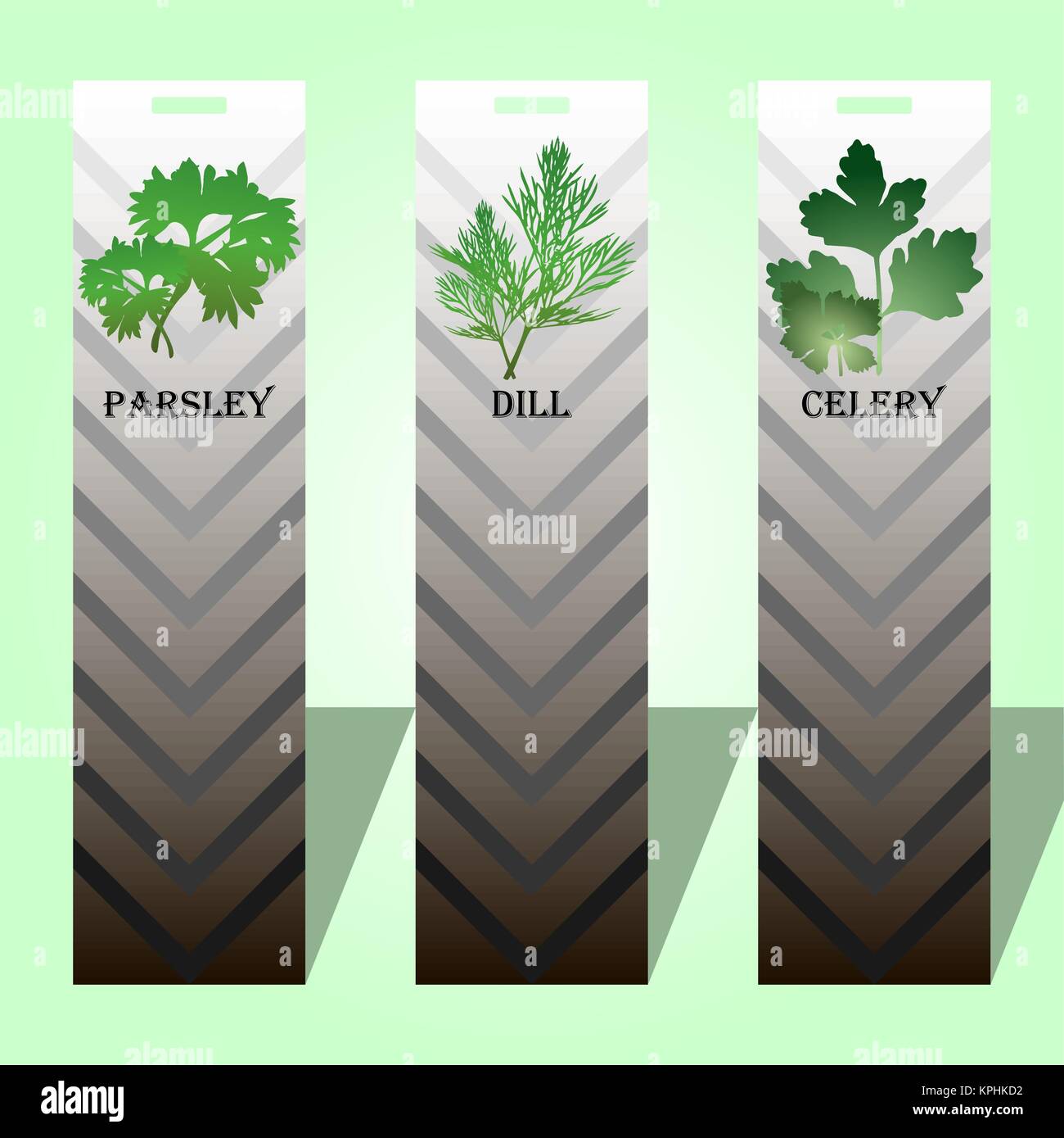 Long Labels with Spicy Herbs Stock Vector Image & Art - Alamy