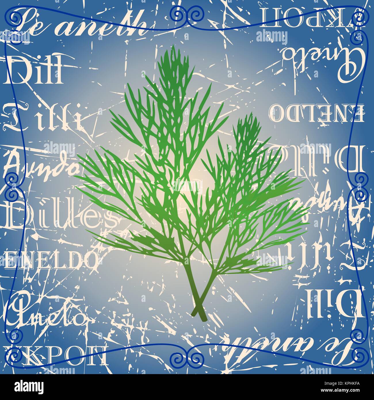 Sprig of dill Stock Vector Image & Art - Alamy