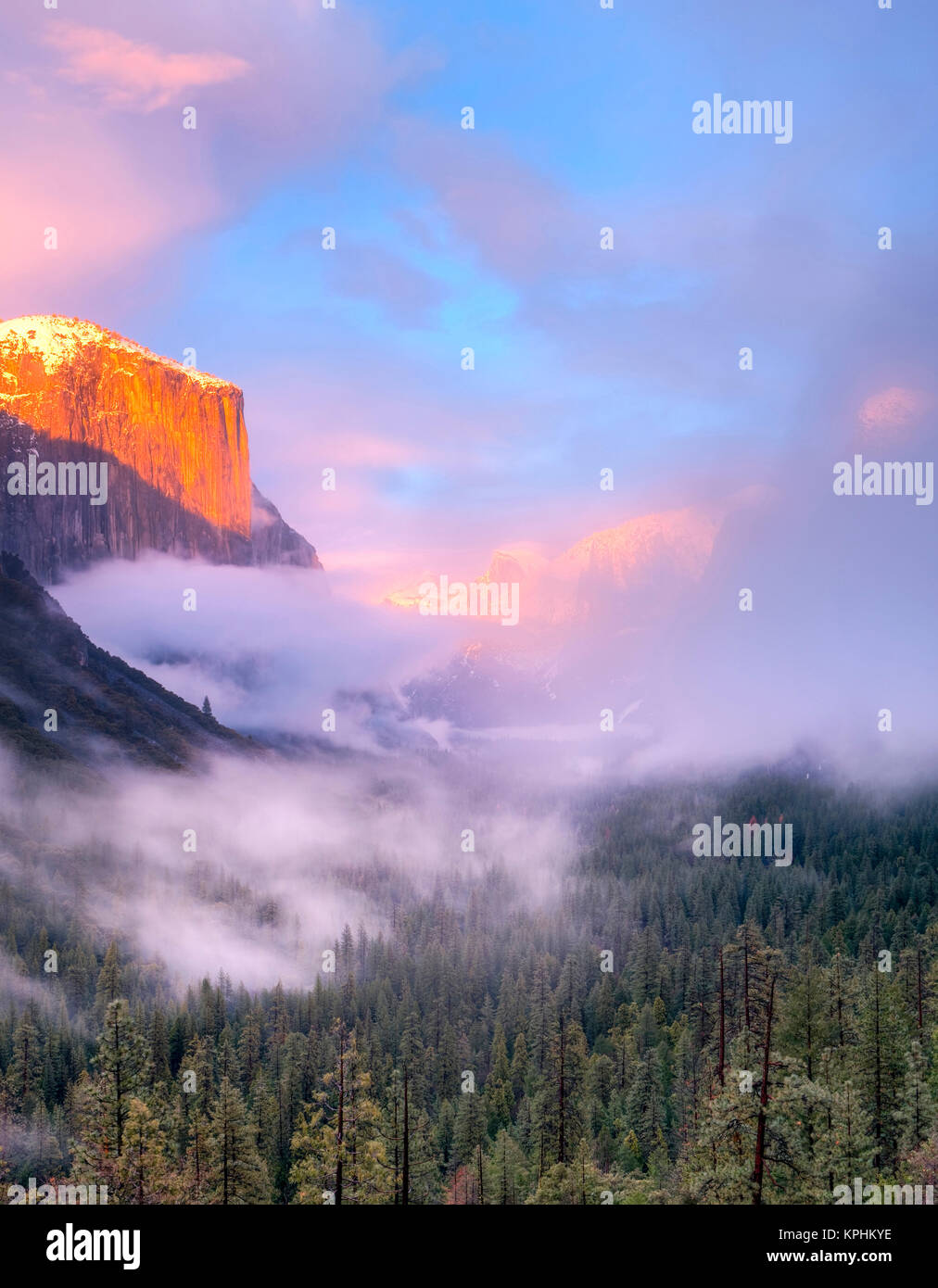 Alpenglow. Sunset colors the top of El Capitan. Yosemite, California ...