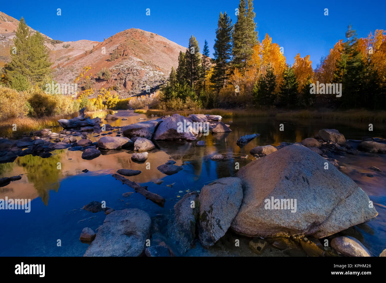 California foothills ecosystem hi-res stock photography and images - Alamy