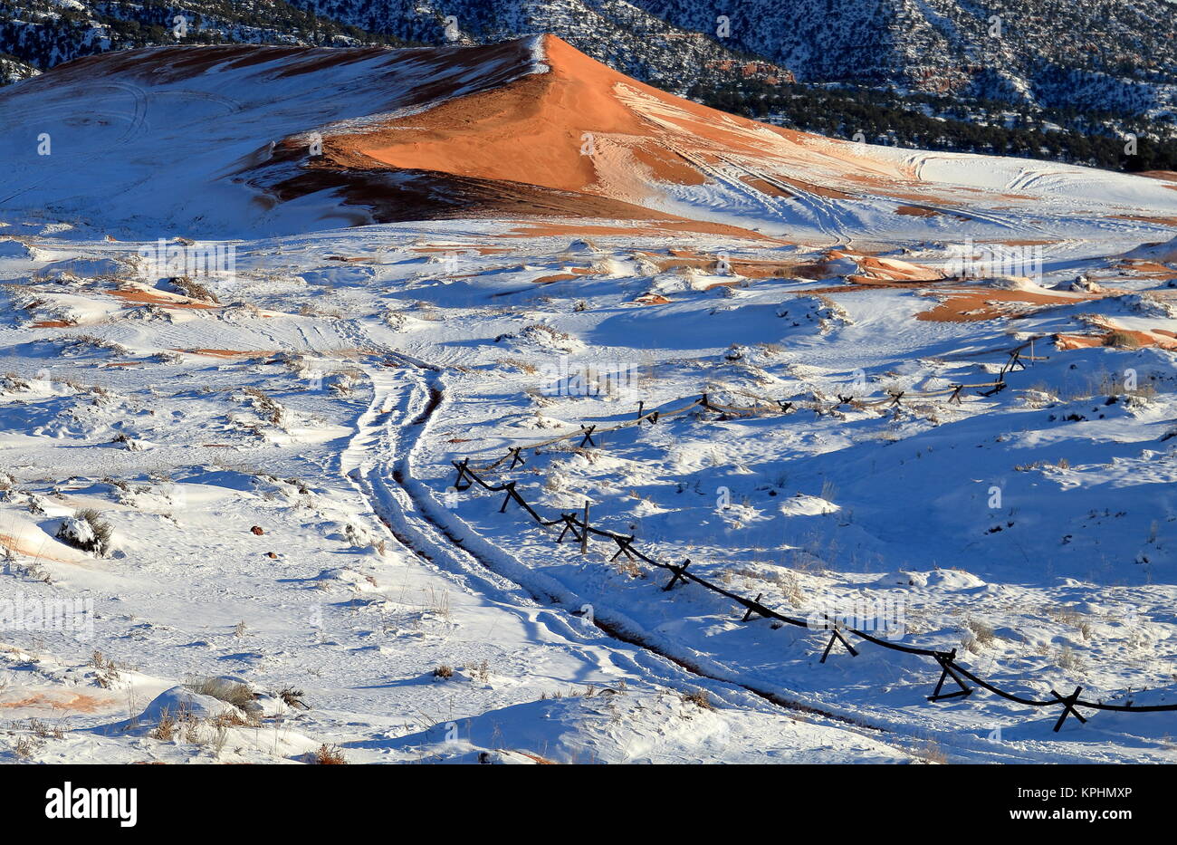 Coral Pink Sand Dunes State Park, Utah, in winter snow Stock Photo - Alamy