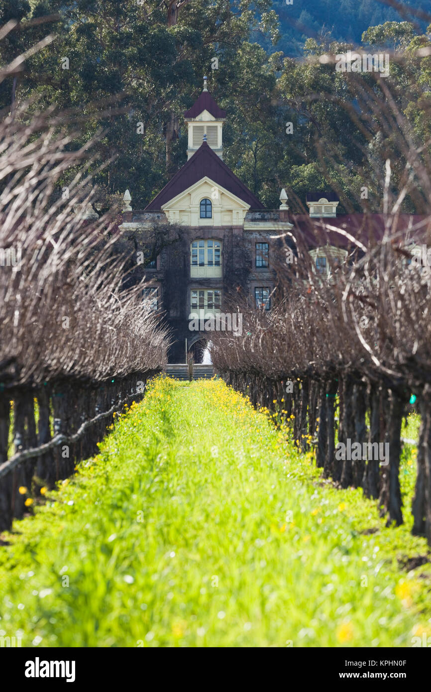 USA, California, Northern California, Napa Valley Wine Country ...