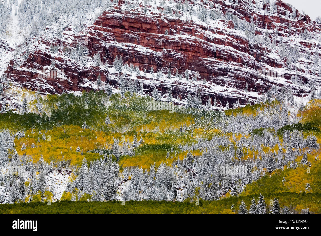 USA, Colorado, First Snow over the Red Cliffs and Aspens of Redstone ...