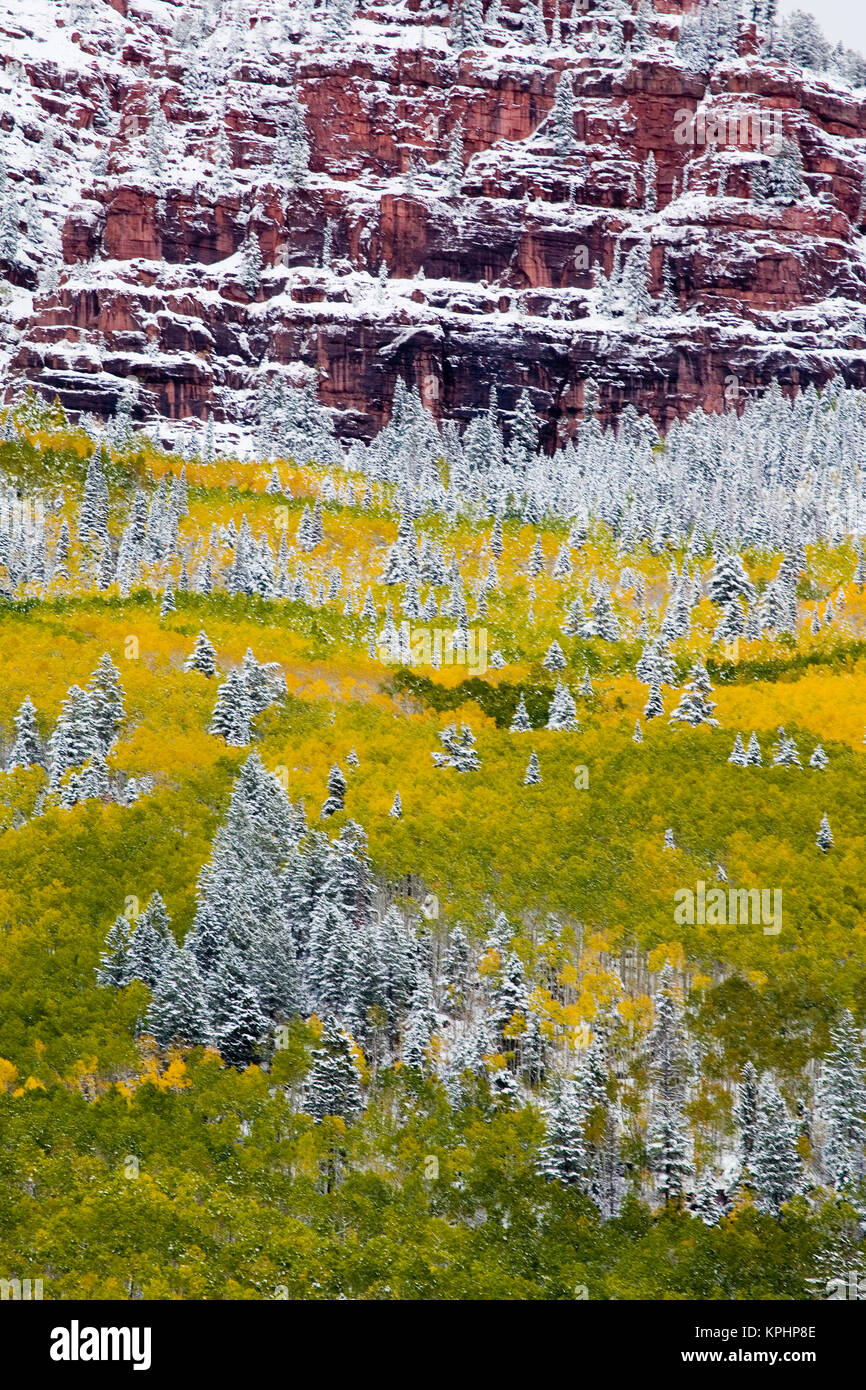 USA, Colorado, First Snow over the Red Cliffs and Aspens of Redstone ...