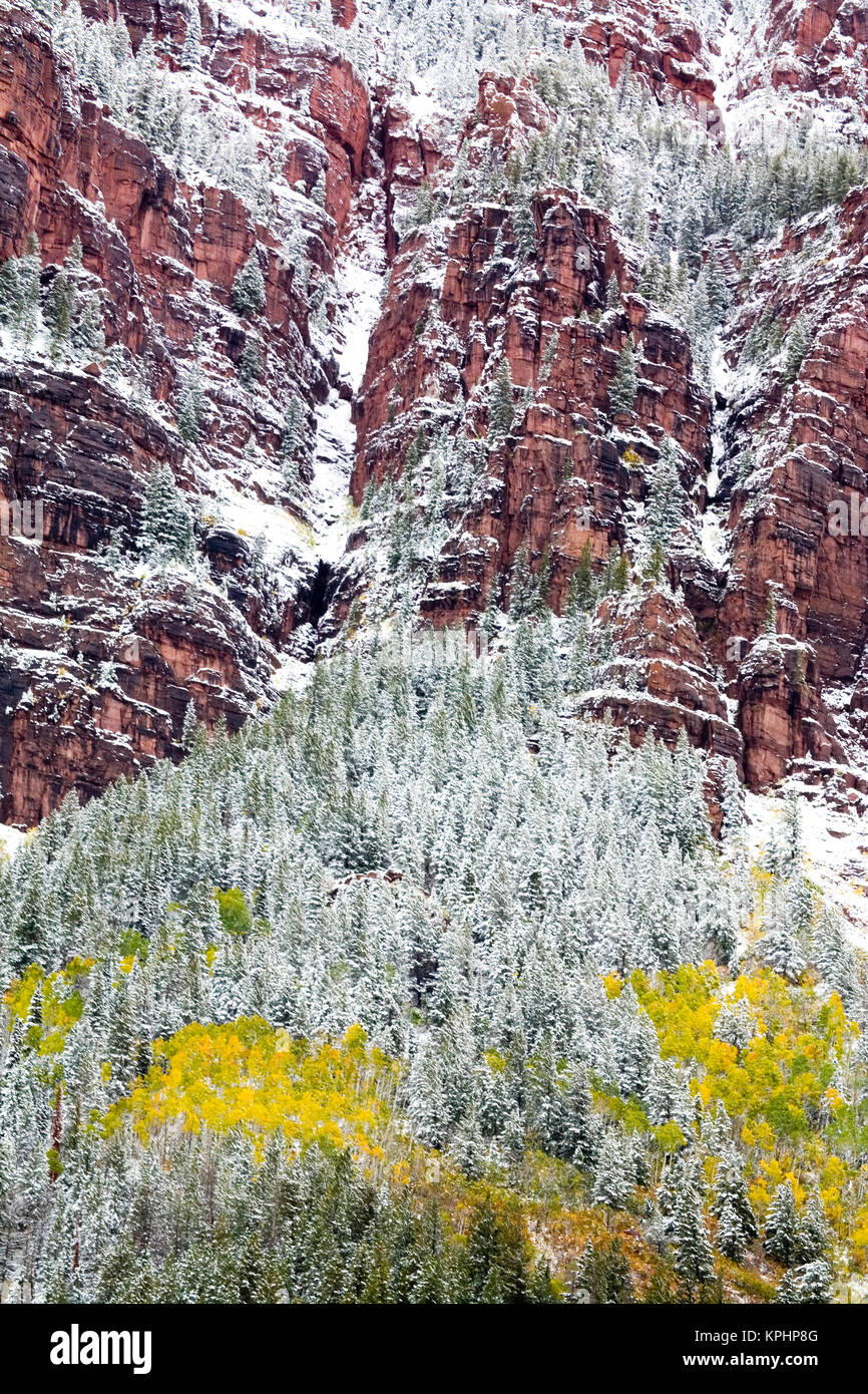 USA, Colorado, First Snow over the Red Cliffs and Aspens of Redstone ...