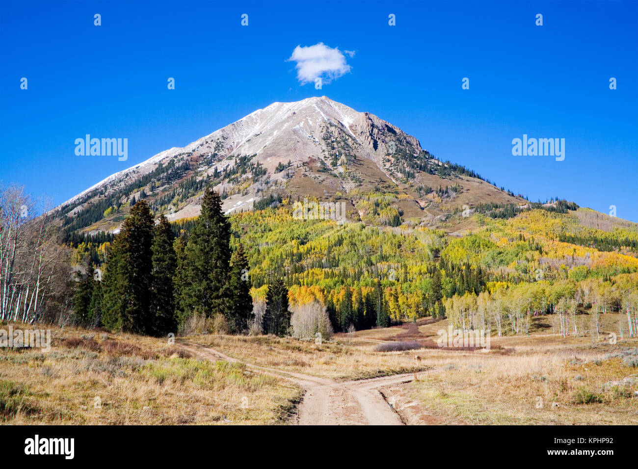 USA, Colorado, Mt. Crested Butte, Fork in the Country Backroad with ...