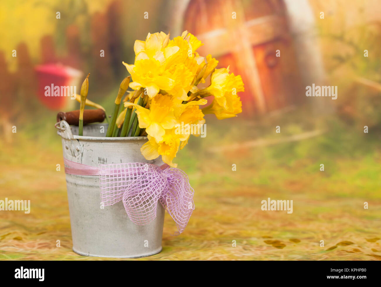 Yellow daffodil flowers in bucket Stock Photo - Alamy