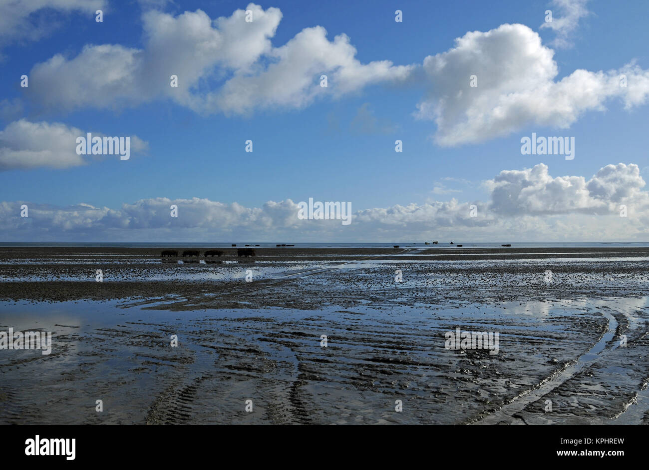 Sylt and mud flats hi-res stock photography and images - Alamy