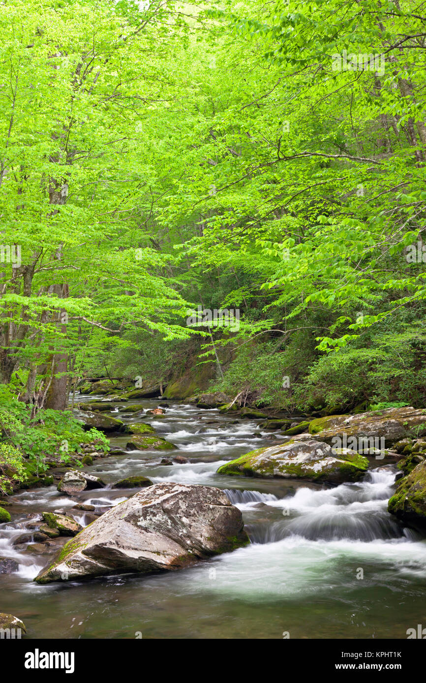 Mountain Stream, Great Smoky Mountains National Park, North Carolina ...