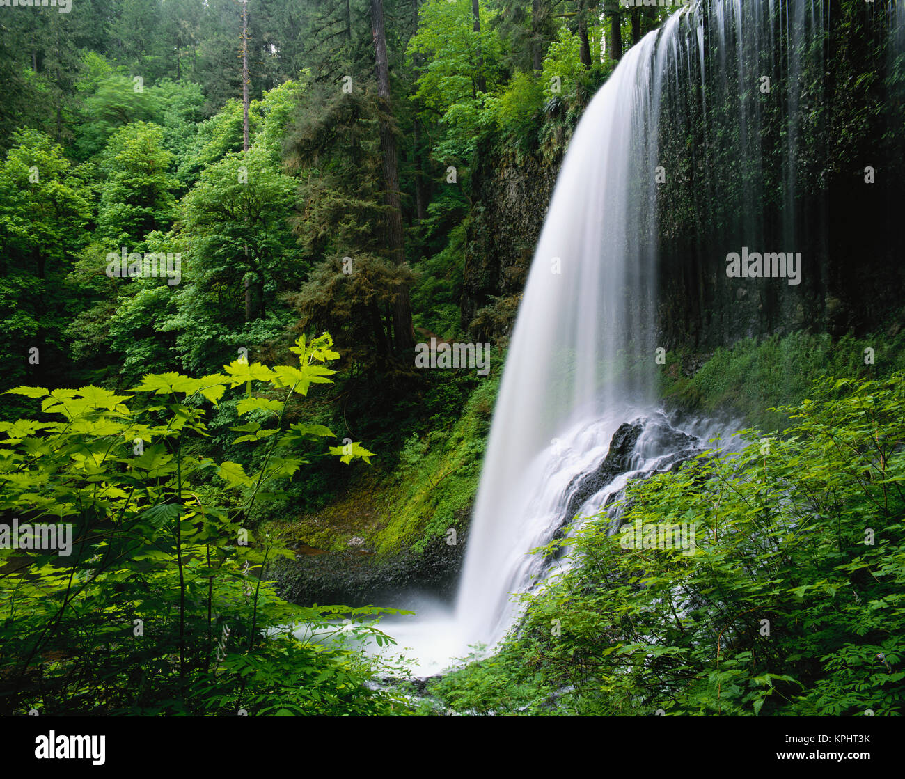Middle North falls, Silver Falls State Park, Oregon, USA Stock Photo ...