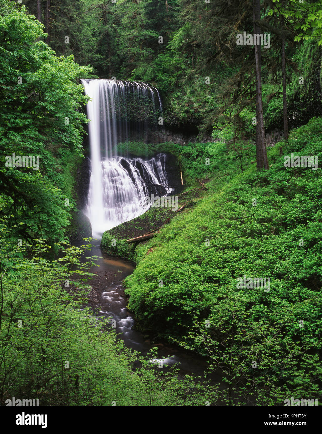 USA, Oregon, Middle North Falls, Silver Falls State Park (Large format ...