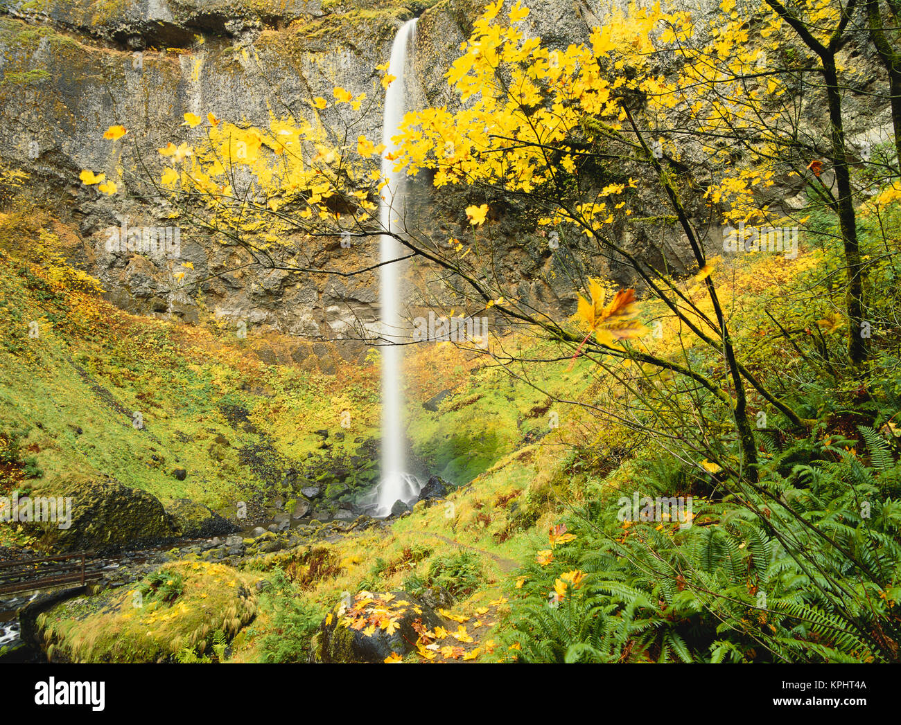 Oregon, Columbia Gorge National Scenic Area, Elowah falls in autumn ...