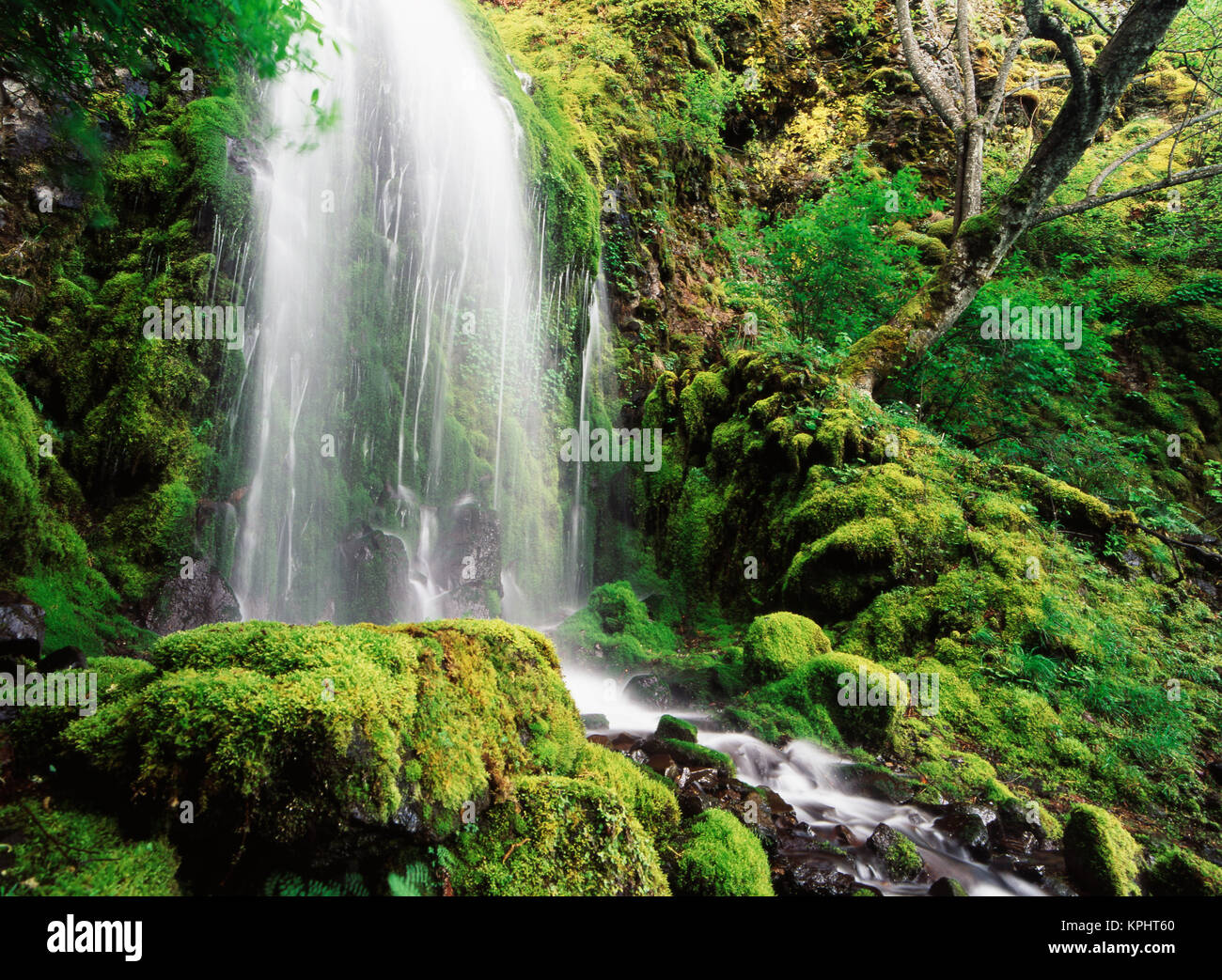 USA, Oregon, Columbia Gorge Scenic Area, Columbia River George, View of ...