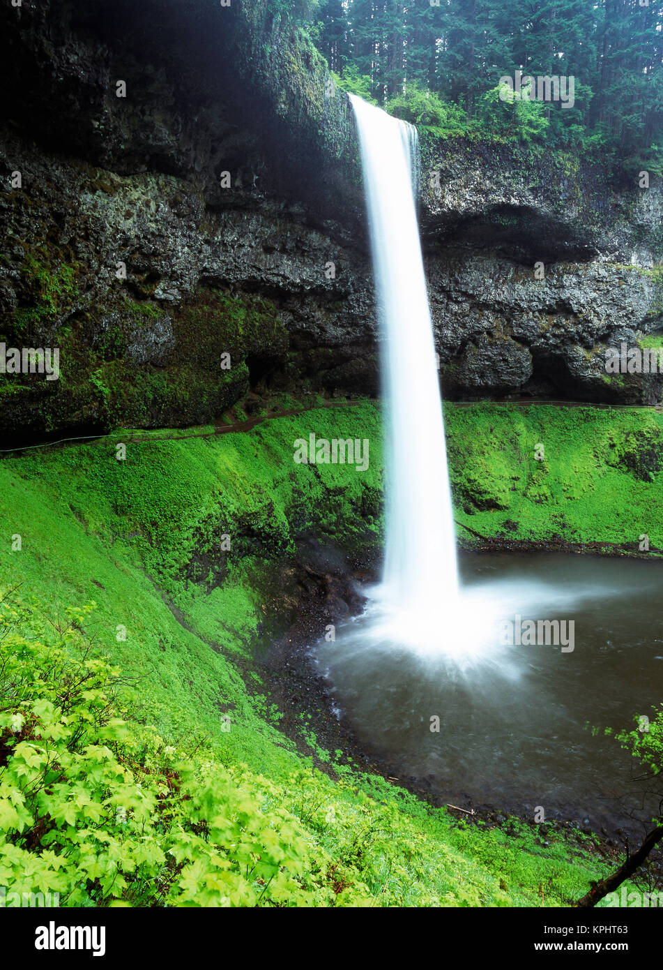 USA, Oregon, Silver Falls State Park, View of South Silver National ...